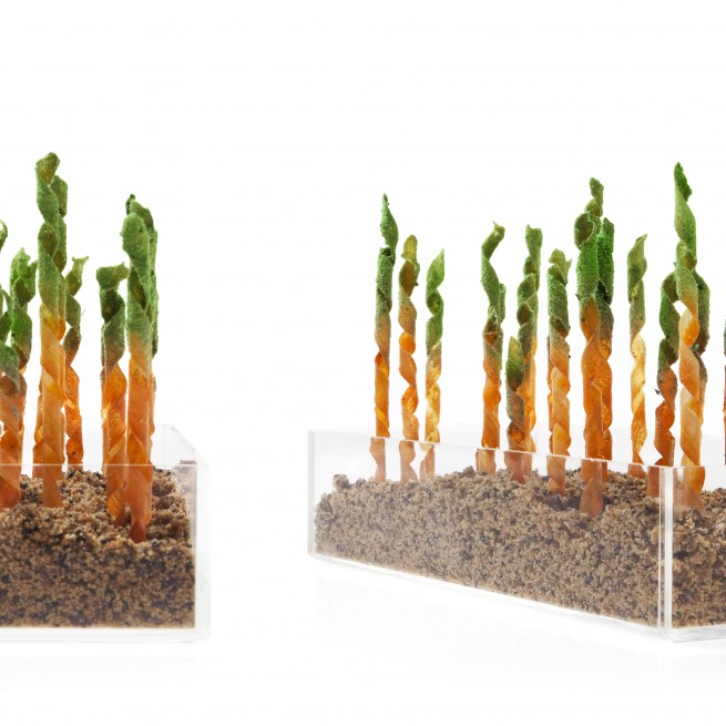 Julie Rothhahn • Design Culinaire