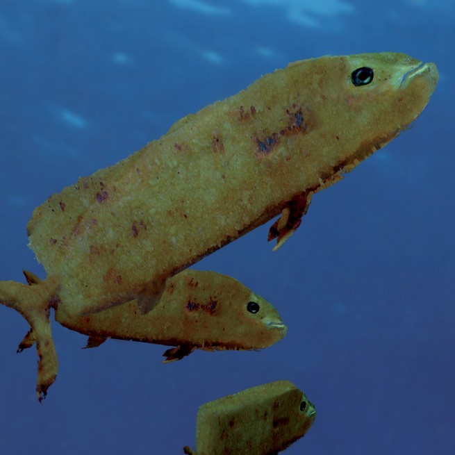 Julie Rothhahn • Design Culinaire